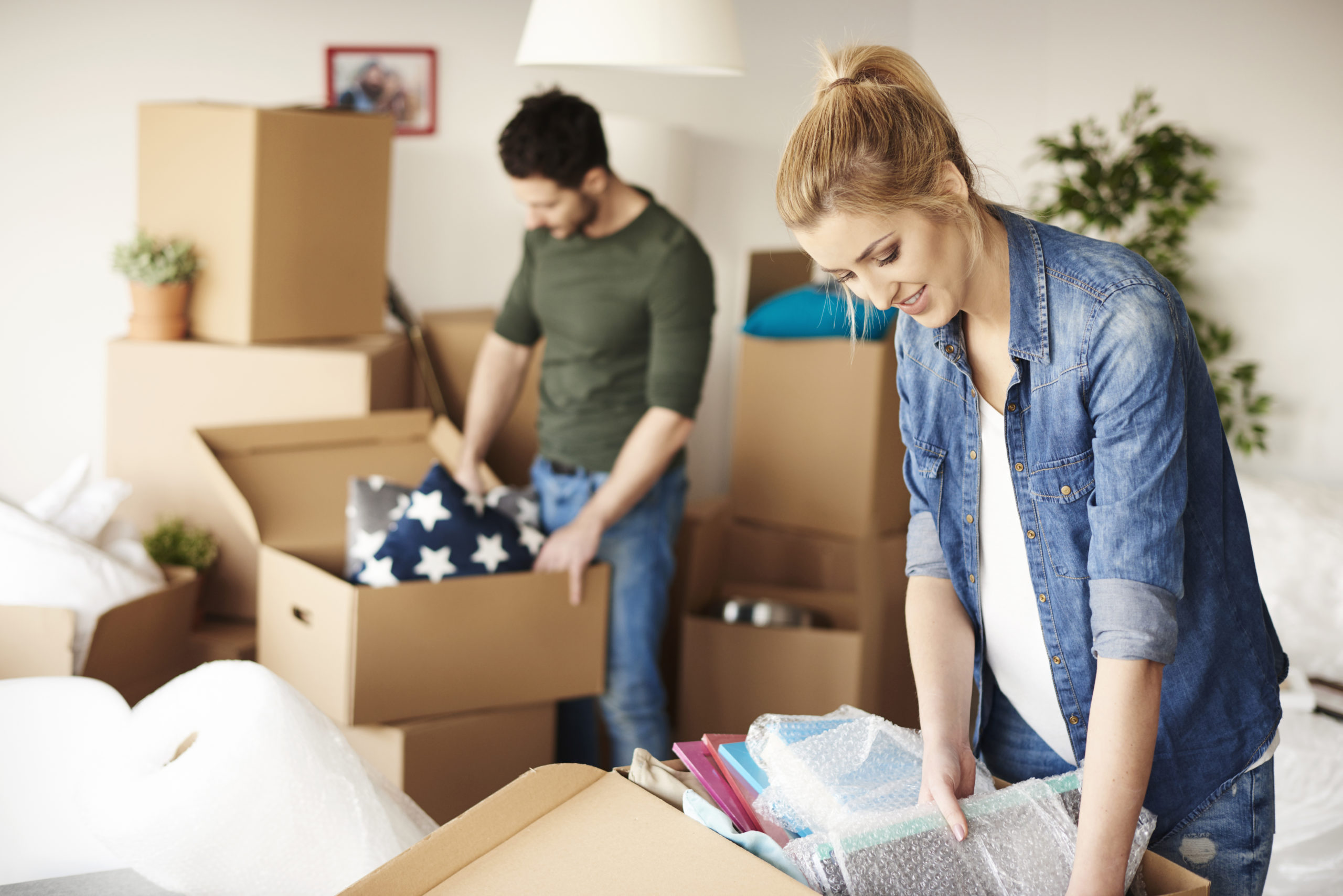 Move In Report | Aurora Military Housing